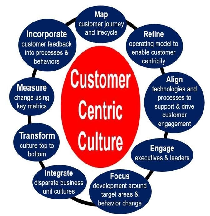Customer-Centric Success: Cricket & Business | Medium