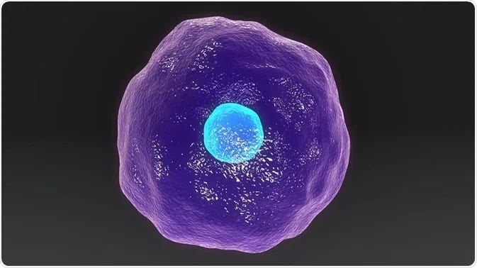 Understanding Senescence: The Science of Aging | by Healix Loo | Aug ...