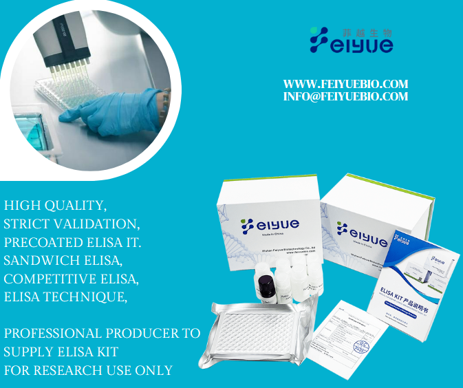 Mouse Herpesvirus 3（HSV-3）ELISA Kit | by Feiyuebiodaisy | Medium