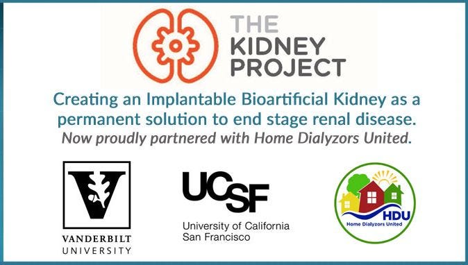 Progression of the Bioartificial Kidney | by Wendy J | Medium