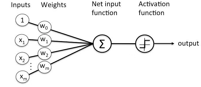 Perceptrons in Artificial Intelligence & Machine Learning | by NitishKalra | TechHappily | Jun ...