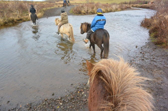 Horseback ride and lunch with a viking only 20 min. from Reykjavík | by ...