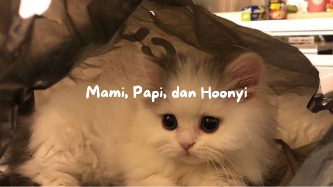 Mami, Papi, dan Hoonyi. “Utututu… anak siapa ini cantik sekali… | by ...
