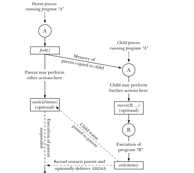 Overview Of The Use Of Fork Exit Wait And Execve The Linux Programming Interface