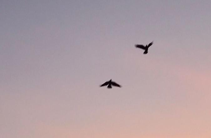 Senja Pertama. Ini adalah senja pertama ku yang aku… | by Haikal Nareen | Aug, 2025 | Medium