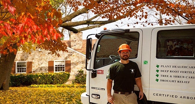 Does Tree Trimming Improve Your Home’s Value? Here’s What You Need to Know | by AAA Tree Experts ...