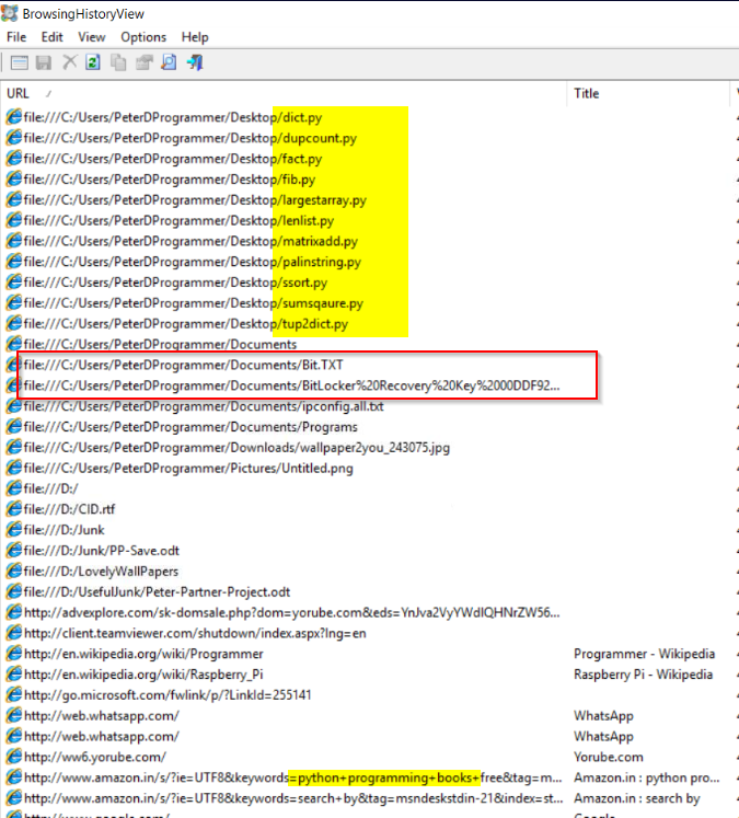 THE KEY — BTLO Writeup— HARD Digital Forensics Lab | by Surya Teja Masanam | Medium
