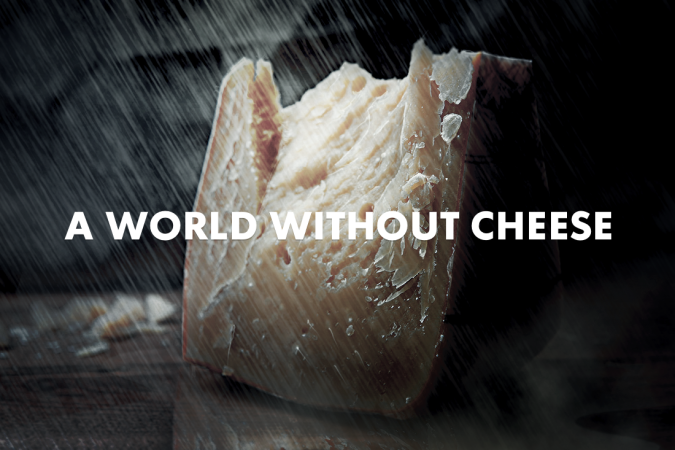 What Would the World Look Like Without Cheese? | by Ross Morrison | Medium