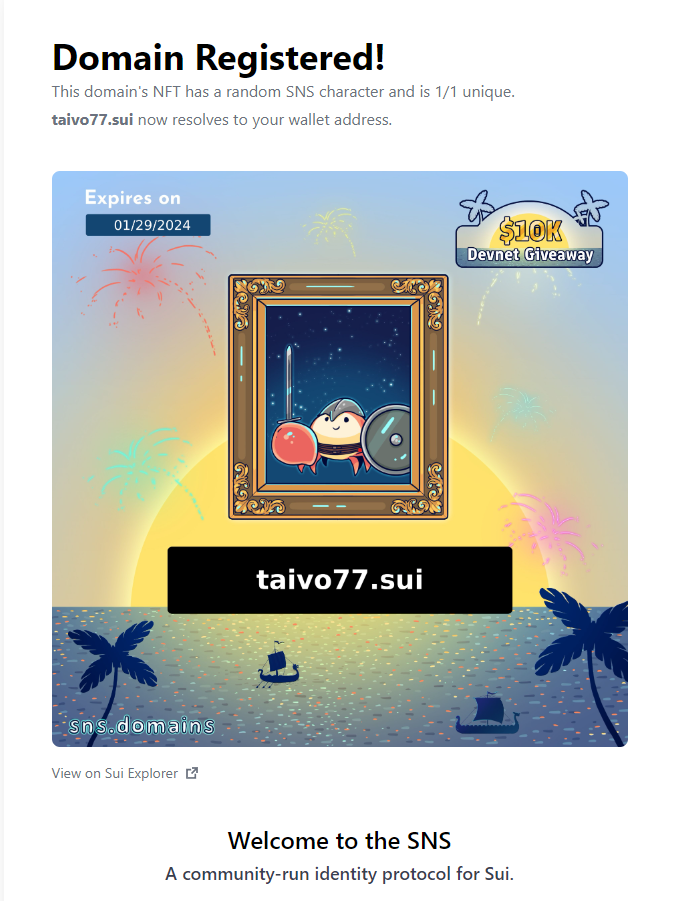 Mint new Sui Domain - Taivo - Medium