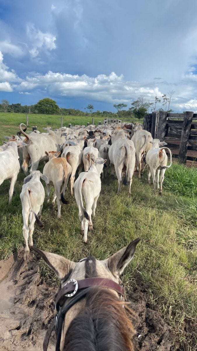 Using Technology to Boost Productivity | by Jordan Albertson | Jun ...