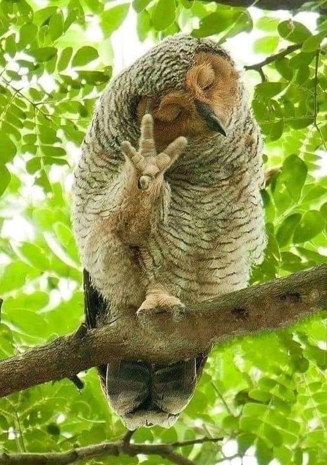 Knowing Me Do not touch me Do not pity me Do not look at me with ...