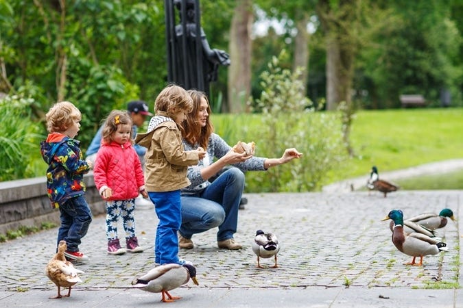 Fostering Children in Suffolk. Fostering in Suffolk is a rewarding ...