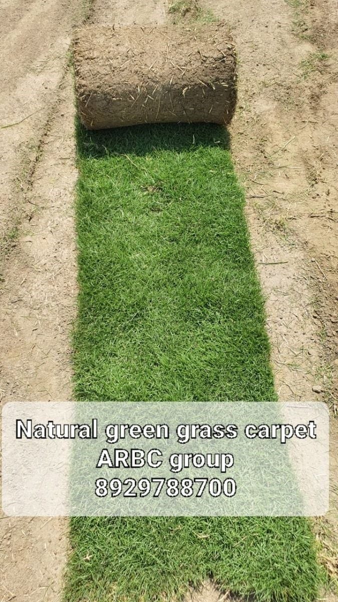 Natural green grass carpet supplier in Indore MP naturalgreengarden.com ...