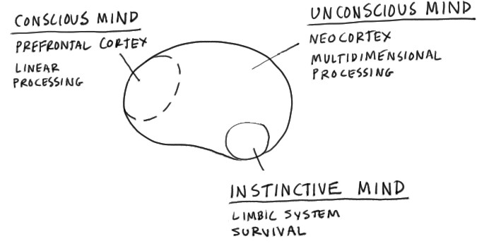 Liminal Coaching 101 The Model of the Brain and Mind | by Mike Parker ...