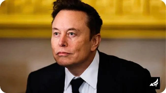 Elon Musk wants to move U.S. Treasury transactions to blockchain to ...
