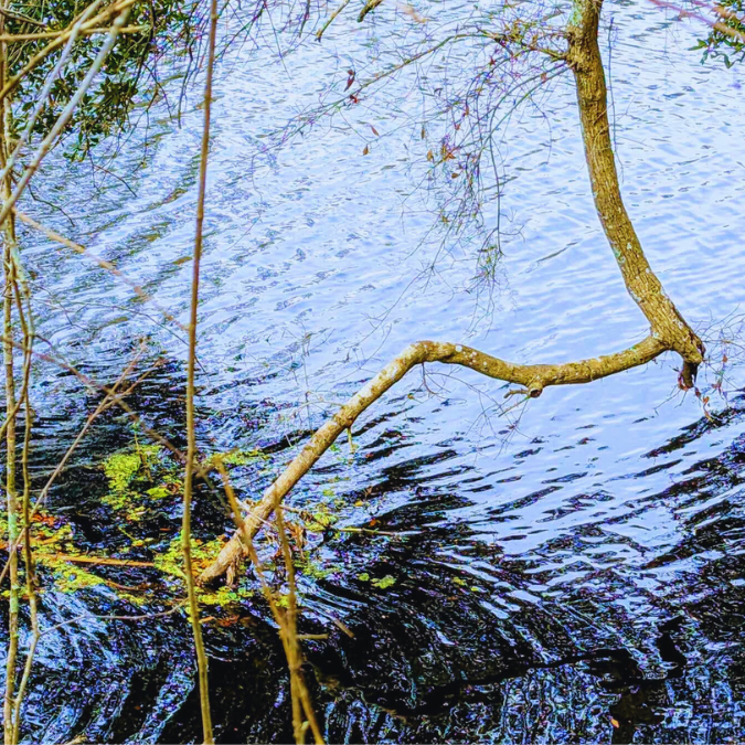 The River Lady. Her song chases away the cold and… | by Sara Fellers ...
