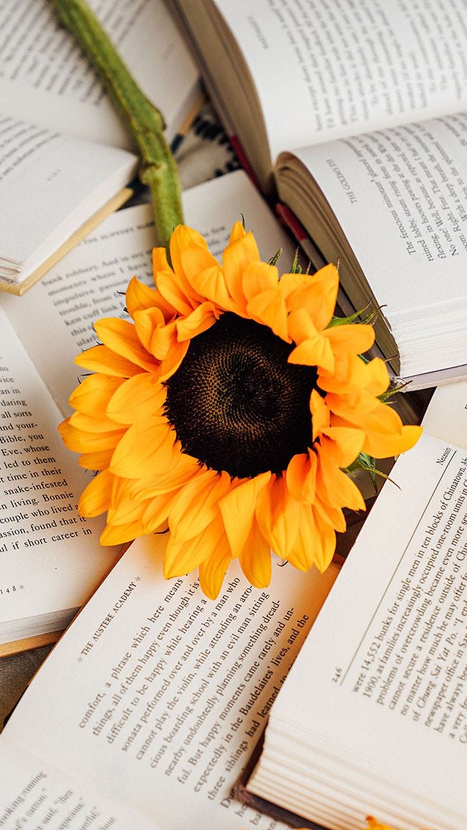 The Sunflower Theory — Turning Toward the Light | by Nikita Patra | Nov ...