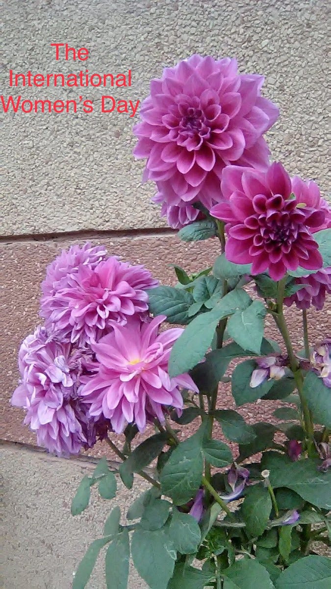 ‘She’ – Poem - Chitrangada Sharan - Medium