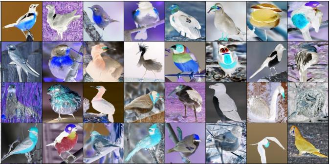 CNN and Transfer Learning with PyTorch: 200 Bird Species Image ...
