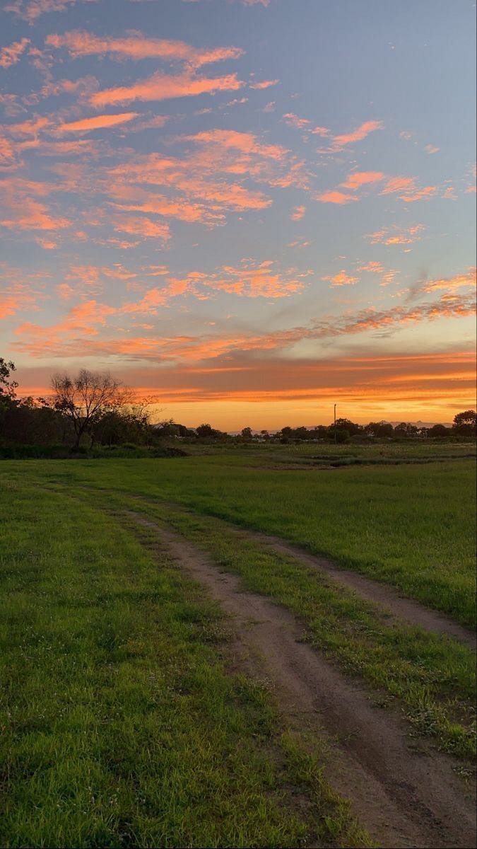 Accept - Jin - Medium