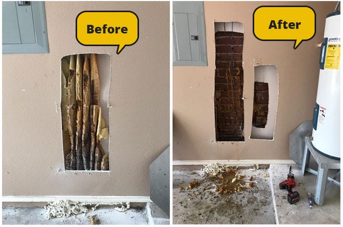 4 Signs Of Bee Infestation at Your Home in Texas | by Madukha Tours and ...