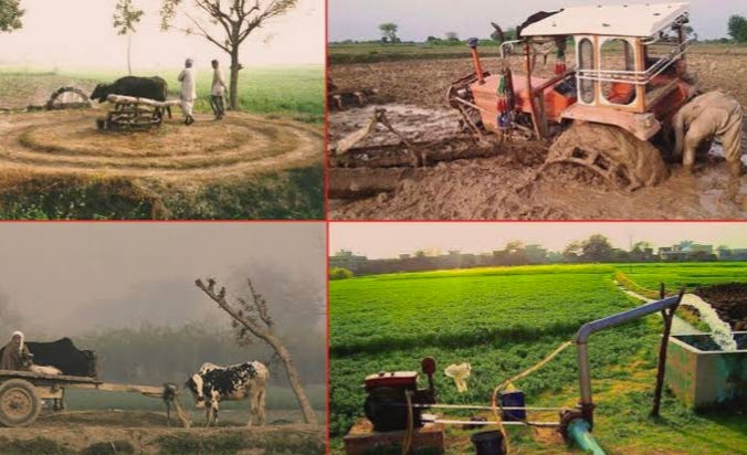 Village Life | by M Yasir Khalil | Oct, 2024 | Medium