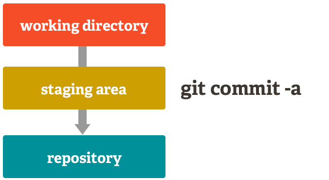 Command Line Basics, Setting up Git & Github, Introduction to Git ...