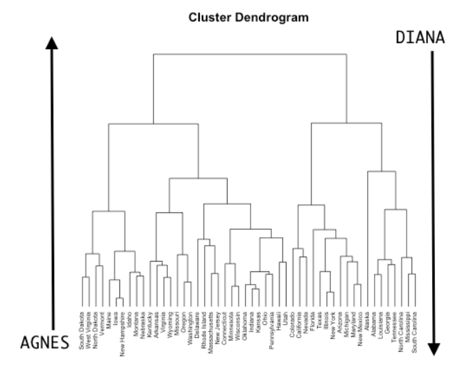 Hierarchical Clustering. Hasn’t specifying the number of… | by Shaily ...