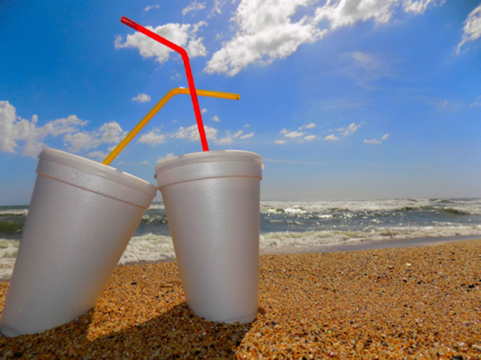 Plastic Straws: A Single Use that Lasts a Lifetime | by Rachelle ...