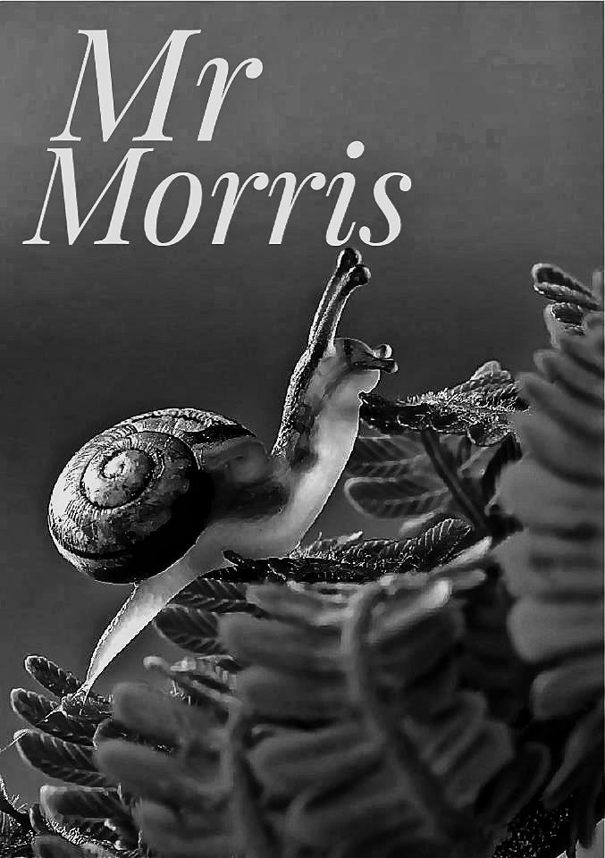 MR MORRIS & LIFE. It was all cloudy and dusty. The whole… | by Usama ...