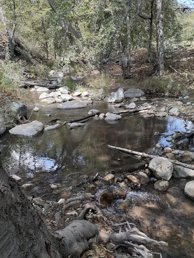 The Rivulet - Reverse Verse - Medium