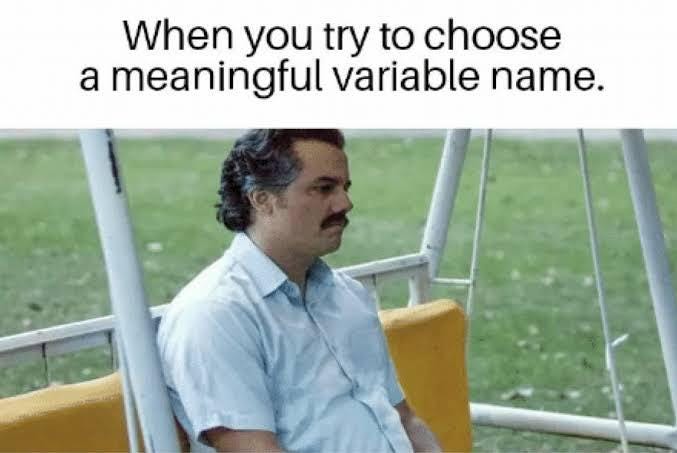 Variable Naming 101: Elevate Your Coding Game with These Tips | by Chioma Nwocha | Jul, 2023 ...