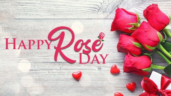 Rose Day : Wishes, Quotes, SMS, Messages, Status, Greetings, Images ...