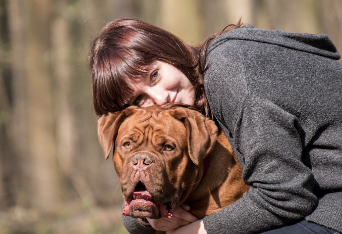How dogs influence our positive mindset | by Little Mindset Push | Jan ...
