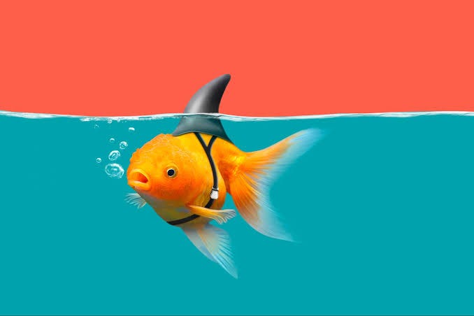Fake it till you Make it. Early last month as a Web3 content… | by ...