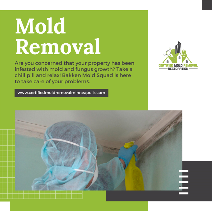 Certified Mold Removal - Certified Mold Removal Restoration - Medium