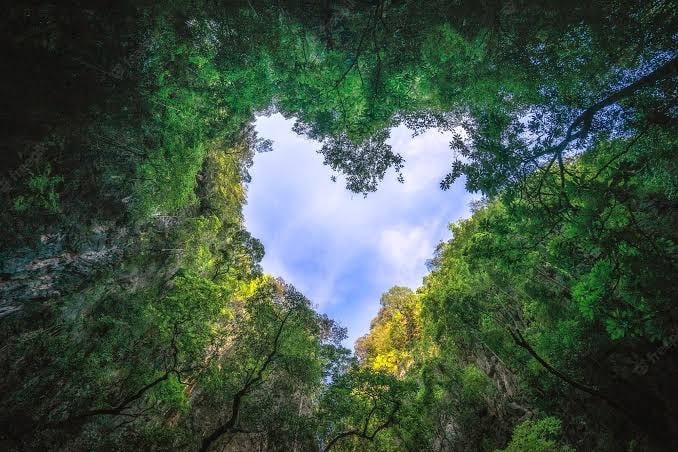 The Nature of God. Divine Nature forlorn, | by Marcelo Neri | Medium