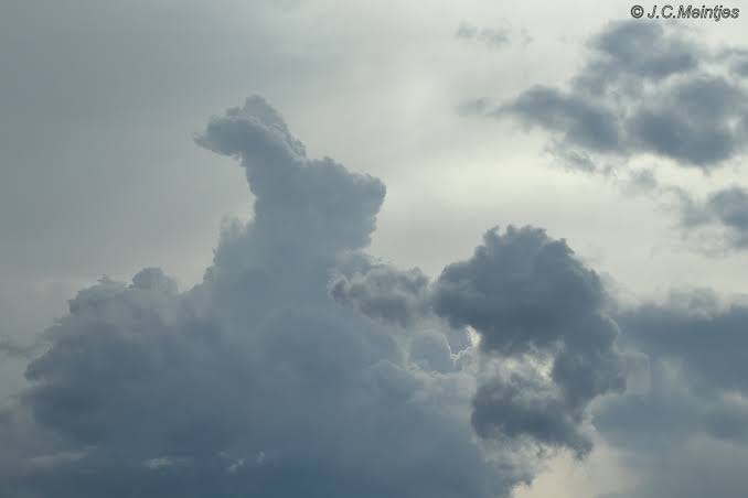 "Look at the clouds. It looks like a rabbit." "No. It doesn't look like ...