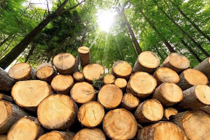 A Comprehensive Guide to Logging in Django | by Mo. Torkashvand | Medium