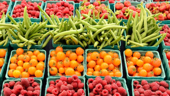 The efficiency of Logistics & Supply Chain process in Fresh Fruits and ...