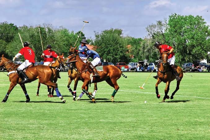 A polo match. History of Polo | by Nouman Minhas | Medium