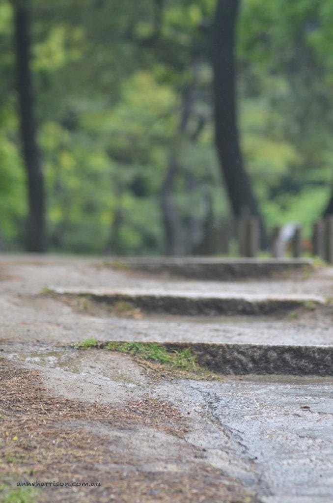 Absent. A poem | by Anne Harrison | An Idea (by Ingenious Piece) | Medium