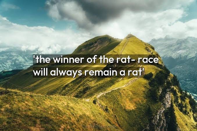 The Rat Race Phenomenon | by Healerista | Jul, 2023 | Medium