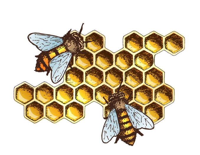 Tableau’s Sweet Spot: Mastering Hex (Honeycomb) Maps for Impactful ...