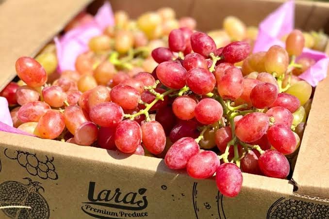 Are Yemeni grapes better than Kabul grapes? I've had many Kabul grapes ...