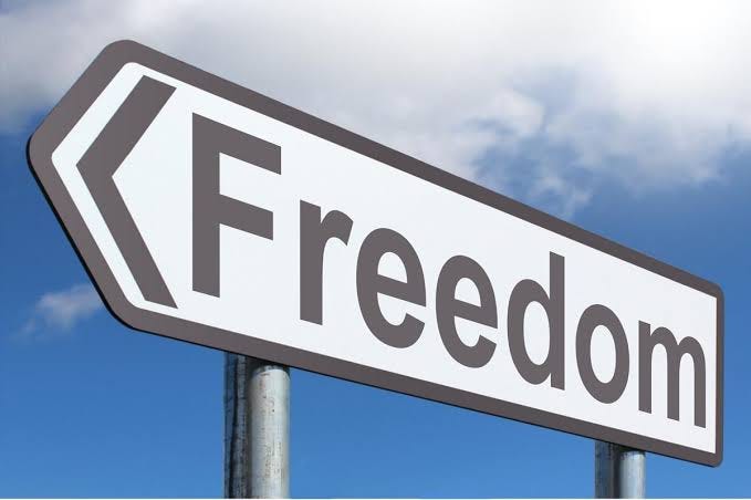 Unlock Financial Freedom with the Freedom Accelerator | by coentoro ...