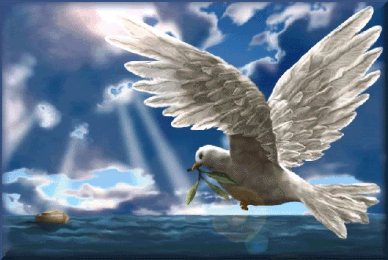 Holy Ghost Gif