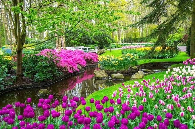 The Joy of Spring: Nature's Time for Renewal and Rebirth | by امید سحر ...