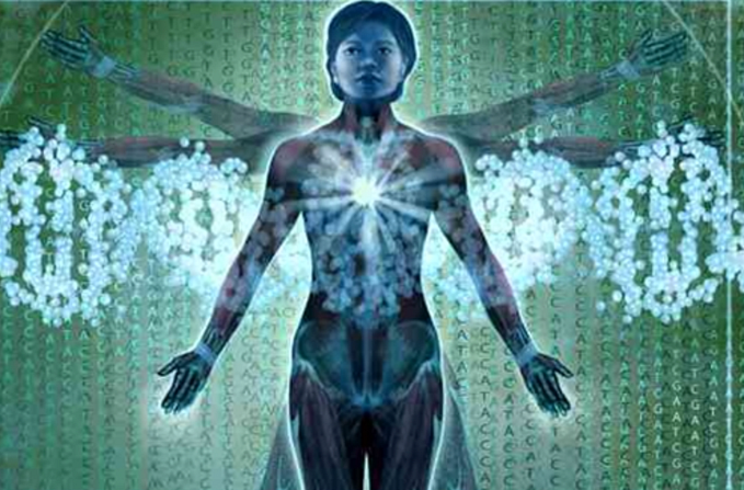 Summary of Rosi Braidotti’s The Posthuman (Part 2) | by Dave Shaw | Open Objects | Medium