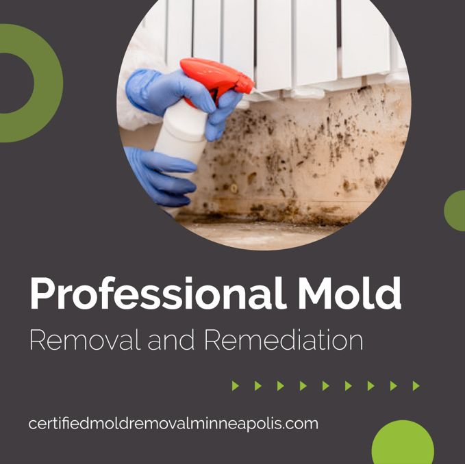 Mold in the Ceiling - Certified Mold Removal Restoration - Medium